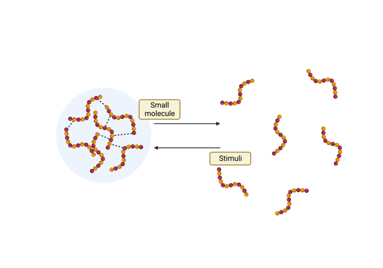Research | Joseph Research Group